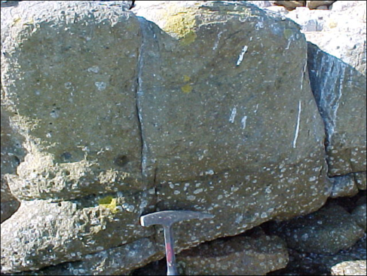 THE VOLCANIC COMPONENTS OF THE CAPE GRANITE SUITE - SearchMin Ltd
